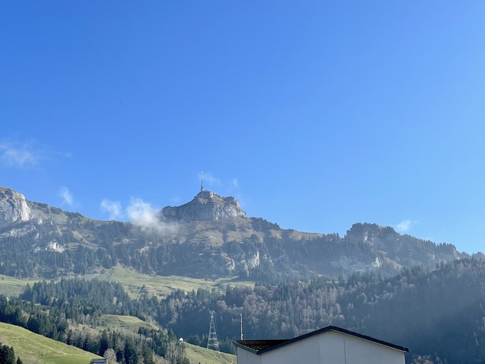 Erlebnisse mit Tieren im Reka Feriendorf Urnäsch – BineLovesLife