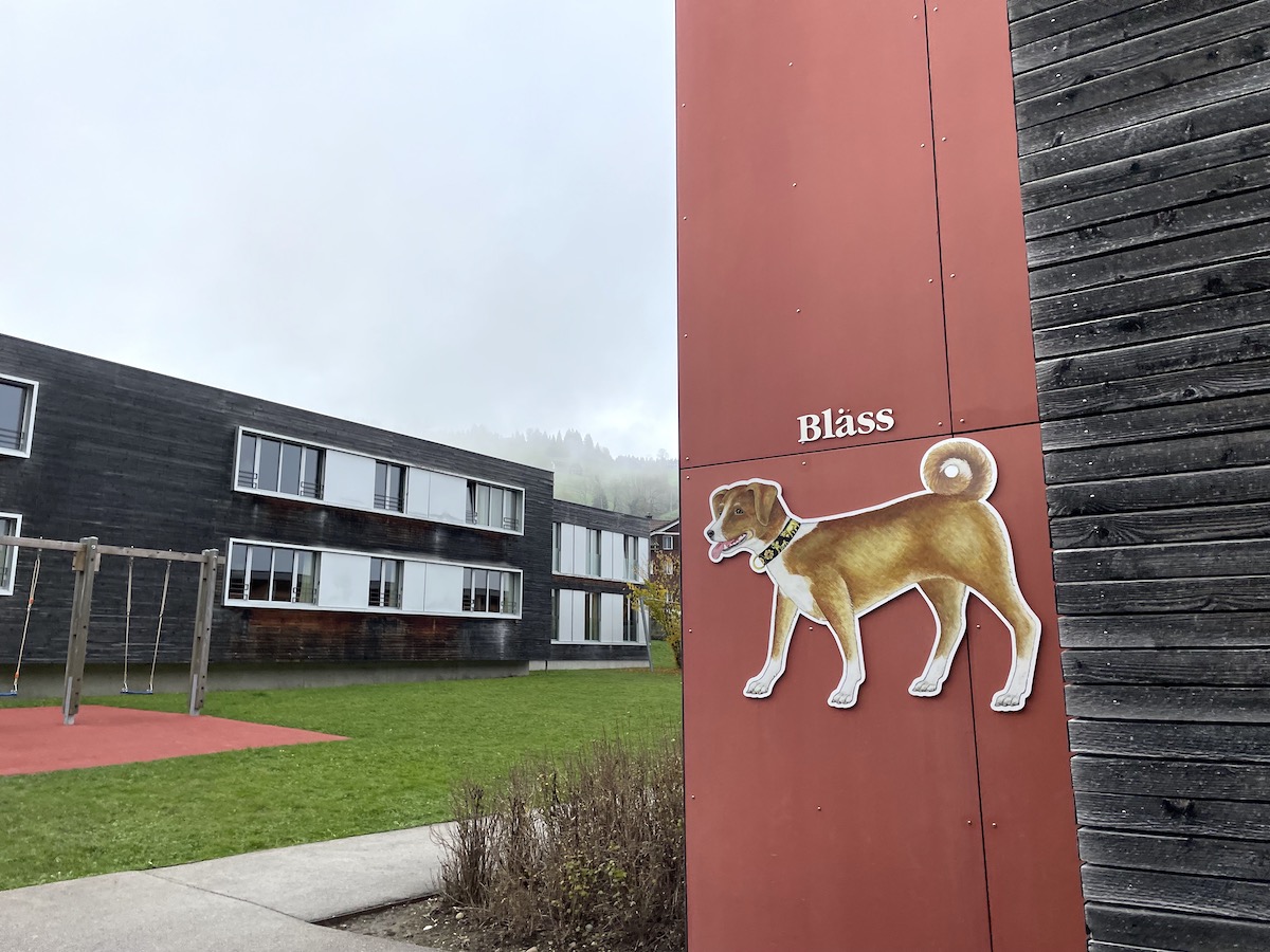 Erlebnisse mit Tieren im Reka Feriendorf Urnäsch – BineLovesLife