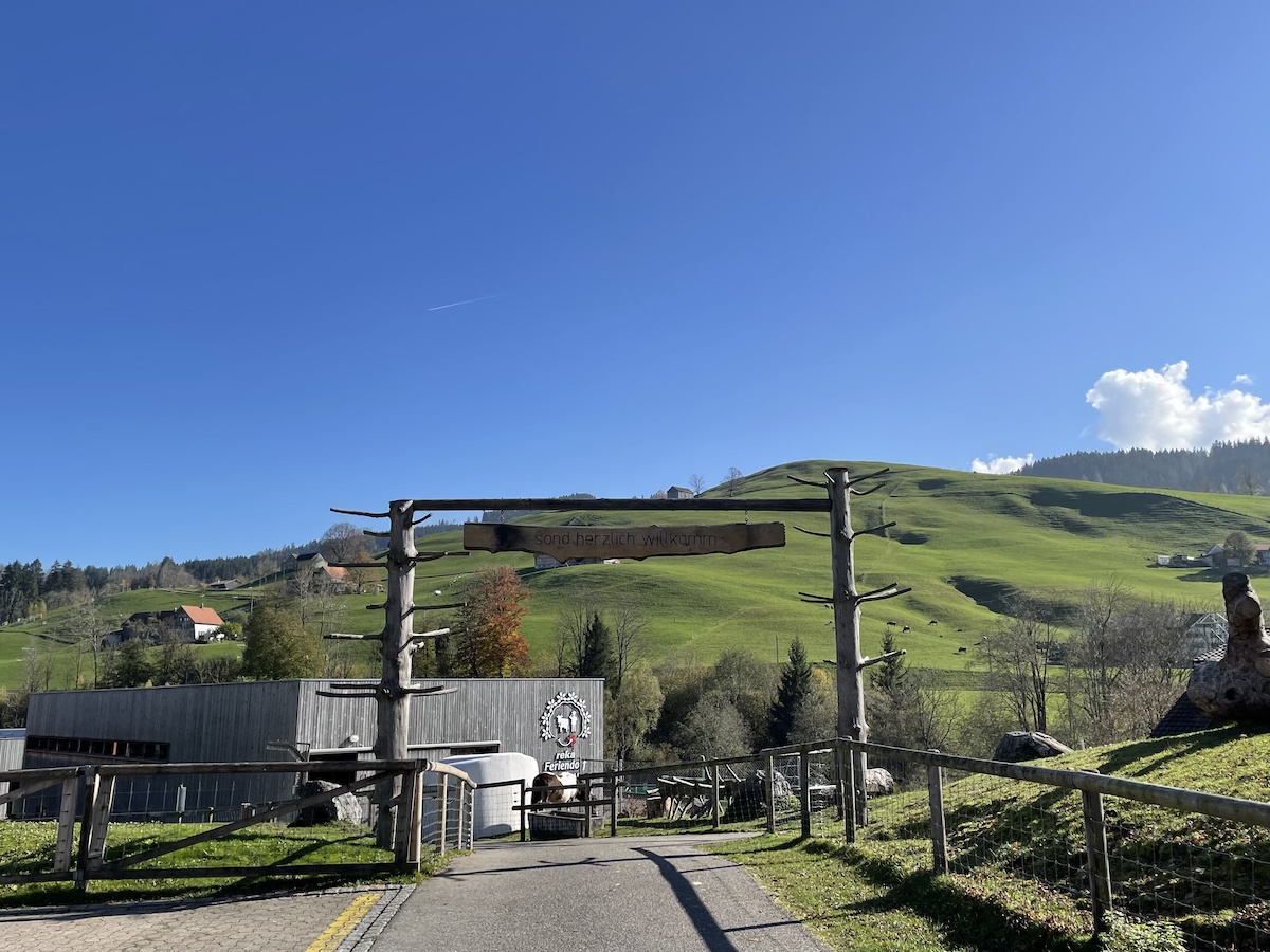 Erlebnisse mit Tieren im Reka Feriendorf Urnäsch – BineLovesLife